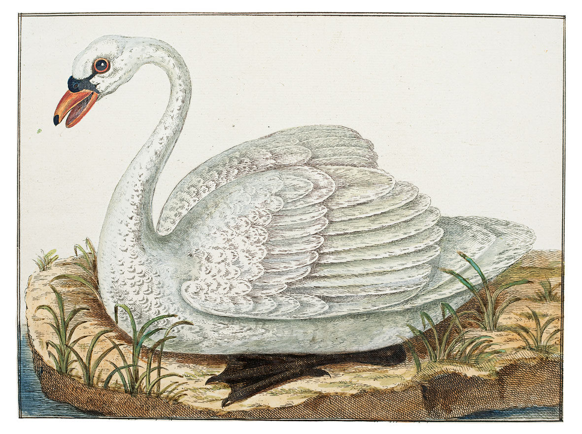 La Naturaleza como inspiración